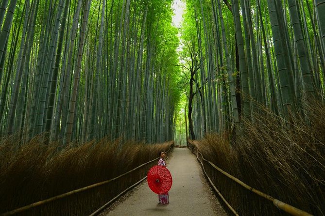 Japan Discovery Tour (12 Days) - Customization Options