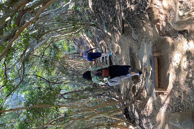 Japan Drive - What to Expect