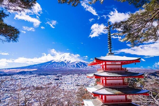 Japan Mount Fuji Tour - Schedule Changes and Booking Policy