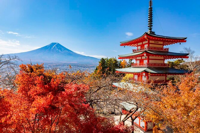 Japan Mount Fuji Tour - Tour Considerations