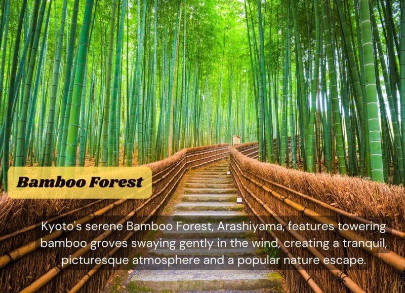 Japan: Private 3, 5, 7, or 10-DAY Tour With Driver - Japan at Your Own Pace