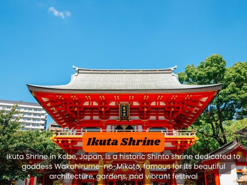 Japan: Private 3, 5, 7, or 10-DAY Tour With Driver - Customizable Itinerary