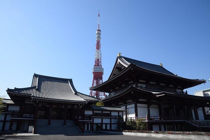Japan Railway Station Shared Departure Transfer : Tokyo City to Tokyo Station - Real Traveler Insights