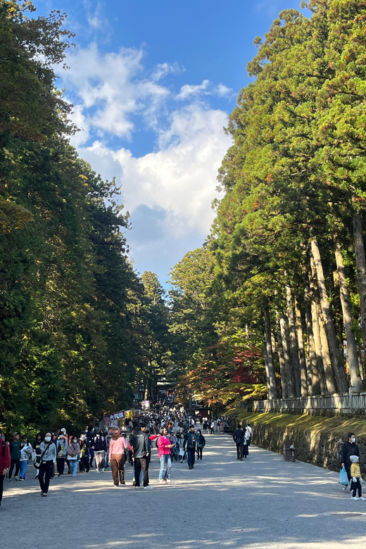 Japan: Tokyo and Countryside Private Tour With Guide - Exploring the Serene Japanese Countryside