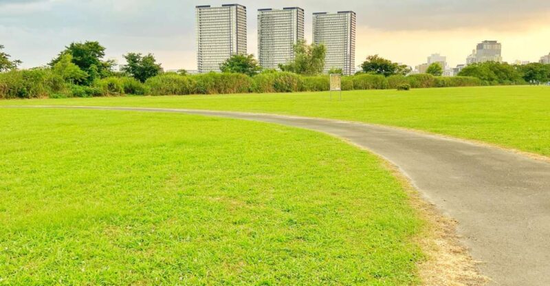 Japan Tour by Moroccan Eyes - Cultural Highlights