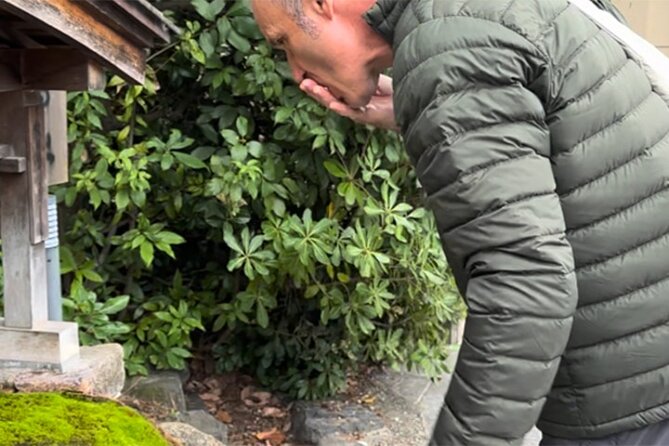 [Japan Wellness] A Tour of Four Springs and Temple Yoga in Kyoto - Common Questions