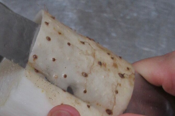 Japanese Cuisine Cooking Class in Kyoto - Exploring Kyoto After the Class