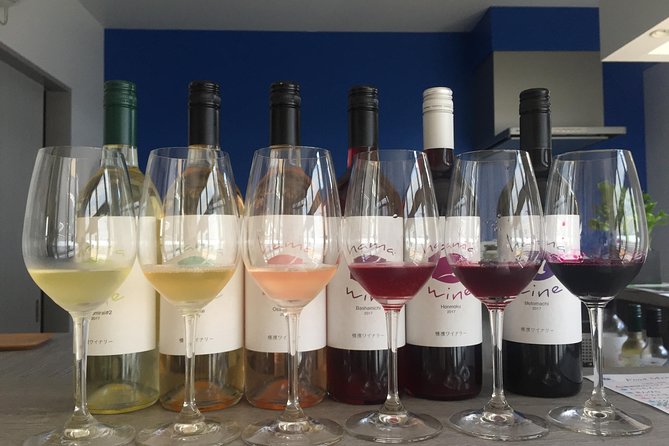 Japanese Cuisine Making Tour With Wine Experience by Yokohama Winery - Meeting Point and Logistics