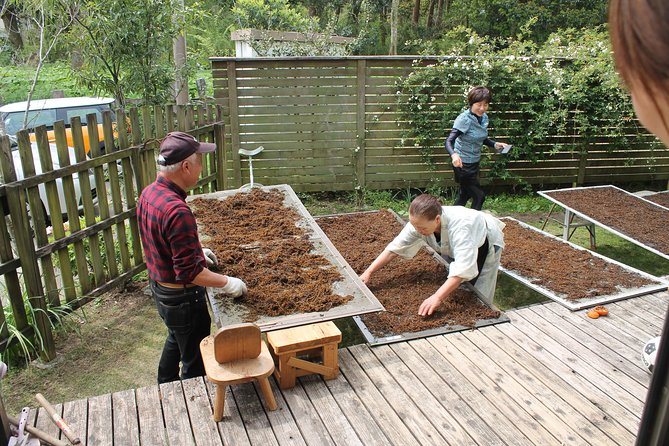 Japanese Food Cooking at Home - About the Private Tour