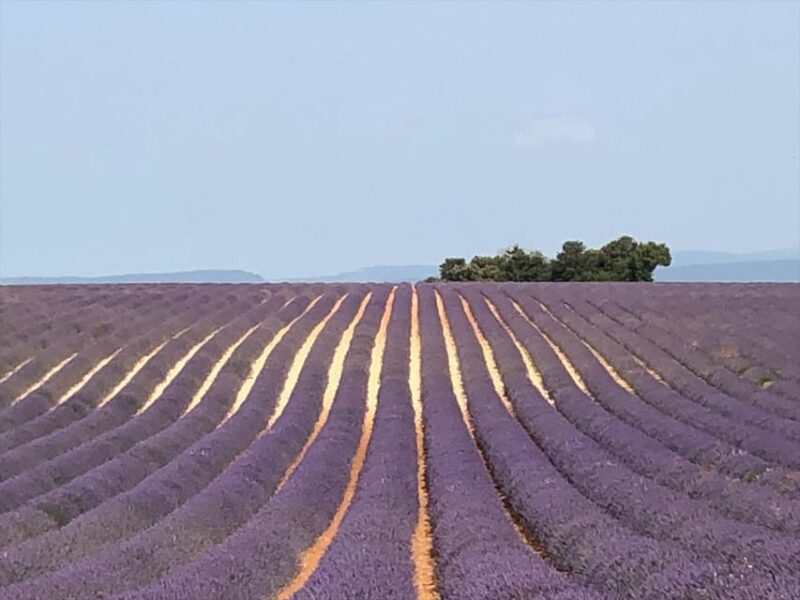 Japanese-Speaking Guide in the Luberon - Key Points