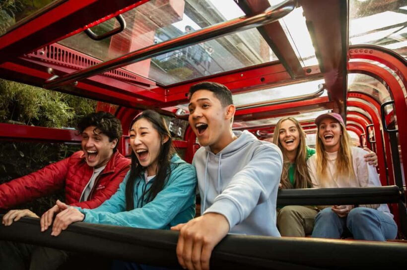 Japanese Tour from Sydney: Blue Mountains, Scenic World, Zoo - Analyzing the Value