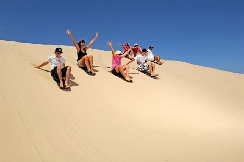 Japanese Tour: Port Stephens Dolphins, Koala & Sand Boarding - An Introduction to the Tour