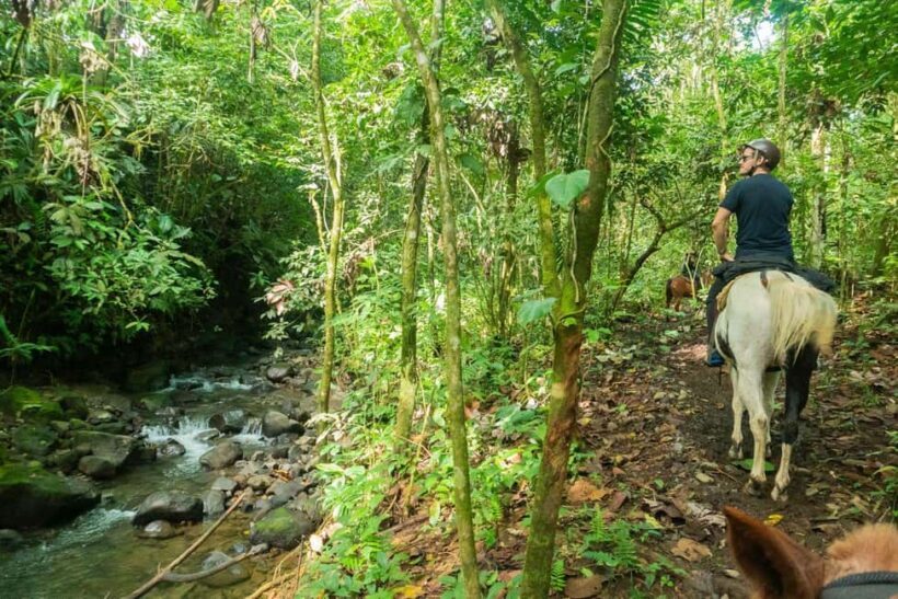 Jarabacoa: Private Baiguate Waterfall Horseback Riding Tour - Key Points