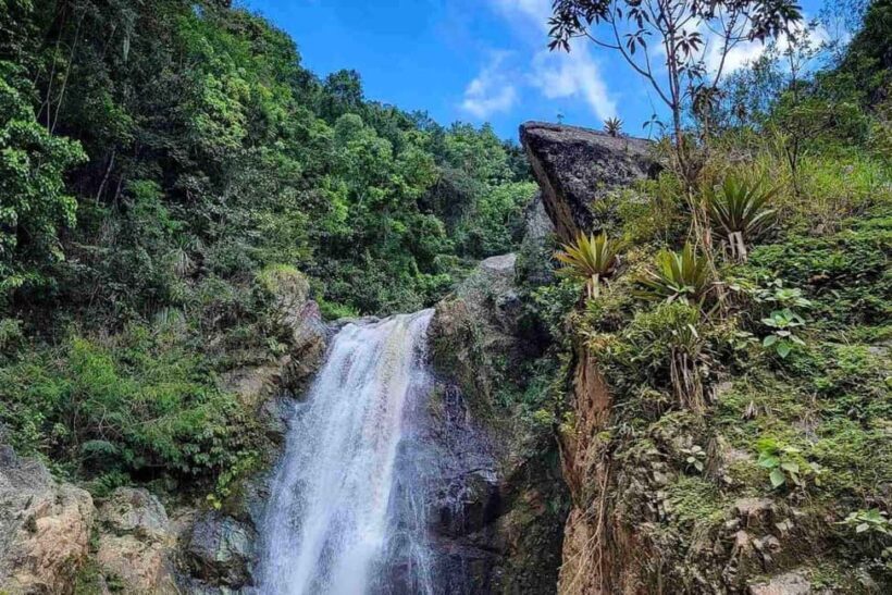 Jarabacoa: Private Baiguate Waterfall Horseback Riding Tour - Discovering the Experience