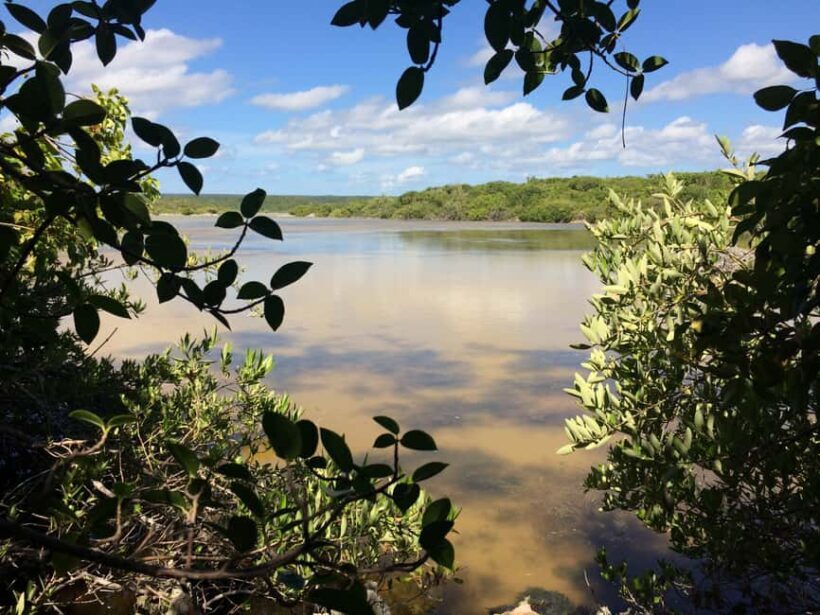 Jaragua National Park: Explore Laguna de Oviedo - An Introduction to the Tour Experience