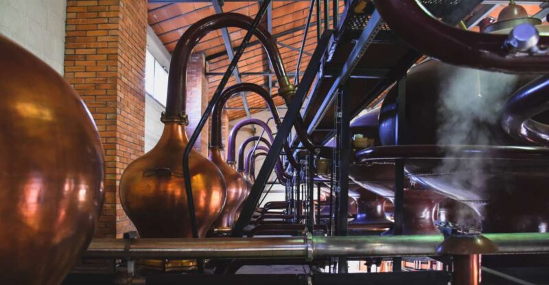 Jarnac: Braastad Cognac Discovery Tour - Activity Details