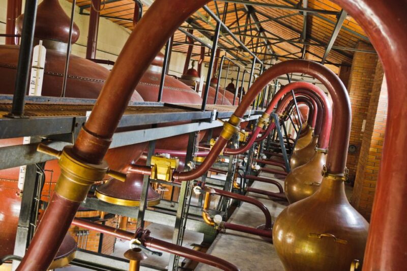 Jarnac: Braastad Cognac Discovery Tour - Cancellation and Booking Policy