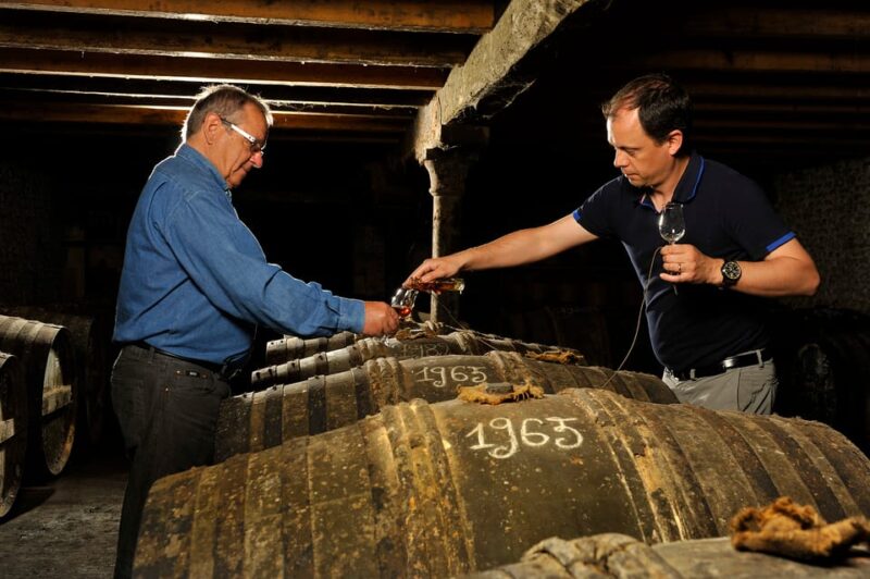 Jarnac-Champagne: Tour at Château Montifaud Cognac ENG - Booking Information