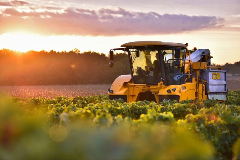 Jarnac-Champagne: Tour at Château Montifaud Cognac ENG - The Importance of Terroir