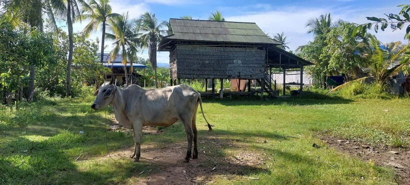 Jason's Countryside Experience - Key Points