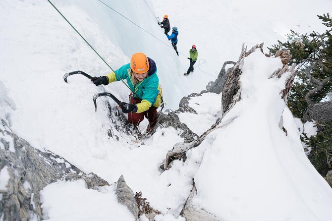 Jasper Ice Climbing Experience - Authentic Feedback from Participants
