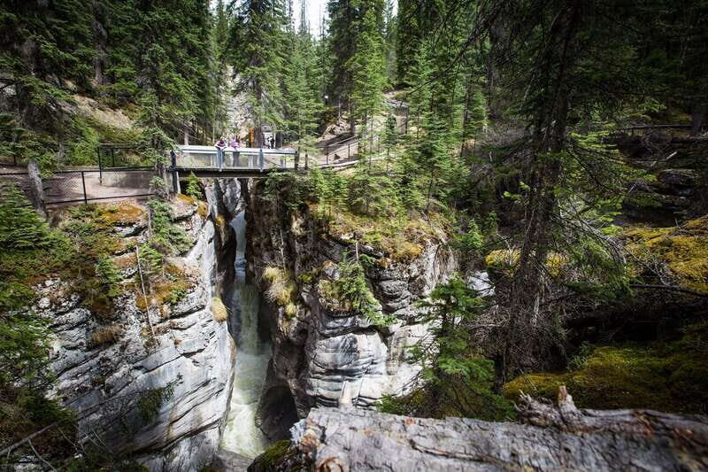 Jasper: Sightseeing Tour with Maligne Lake Cruise - Exploring the Daily Itinerary