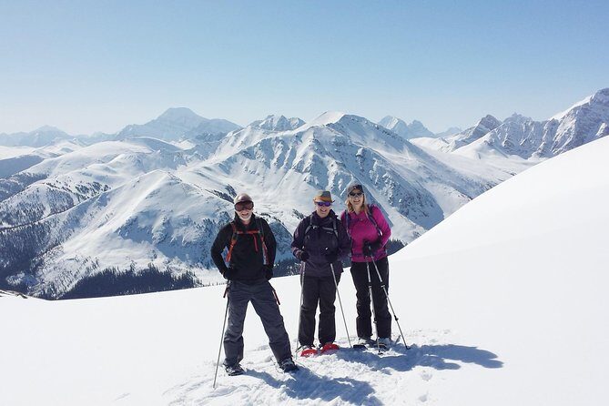 Jasper SkyTram - What to Expect on Your Ride