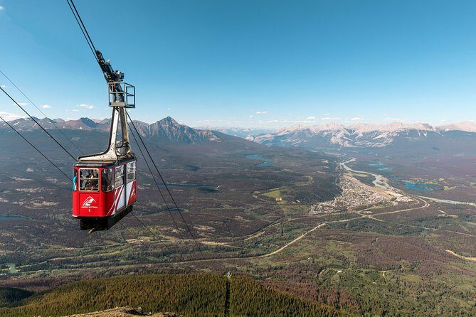 Jasper SkyTram - Wildlife and Natural Beauty