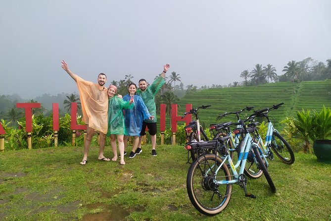 Jatiluwih E-bikes Tour Cycling Group - Overall Value and Who It’s For