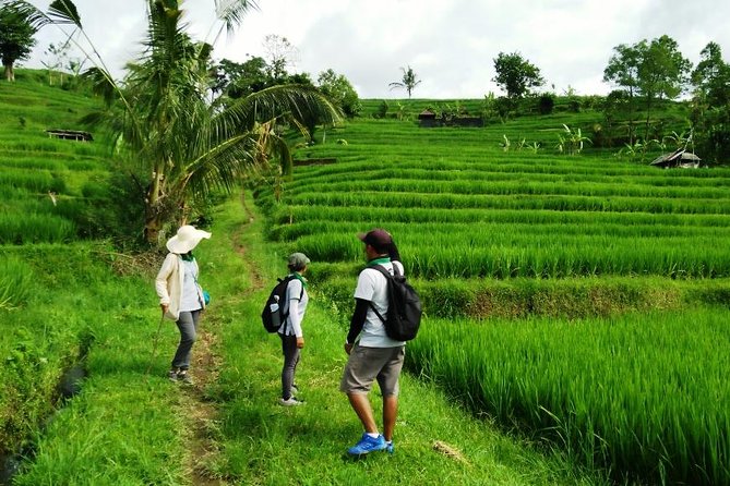 Jatiluwih full day e-bike cycling with lunch & trekking program - Practical Details and Tips