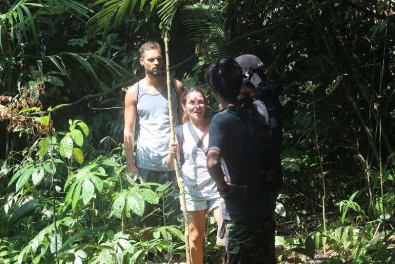 jatiluwih : highlights trekking best bali nature & cultural - What to Expect on the Tour