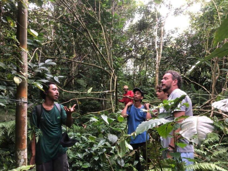 jatiluwih : highlights trekking best bali nature & cultural - Detailed Breakdown of the Itinerary