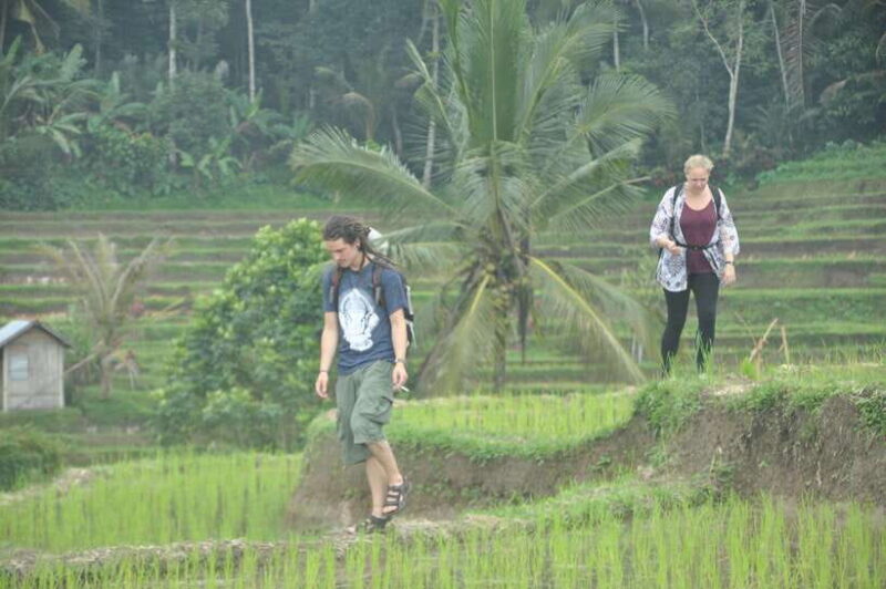 jatiluwih : highlights trekking best bali nature & cultural - The Sum Up
