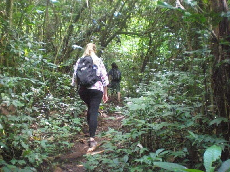 jatiluwih : highlights trekking best bali nature & cultural - FAQ