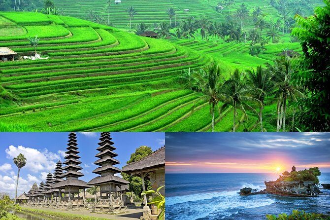 Jatiluwih Rice Terrace & Tanah Lot Tours - Stop 2: Jatiluwih Green Land