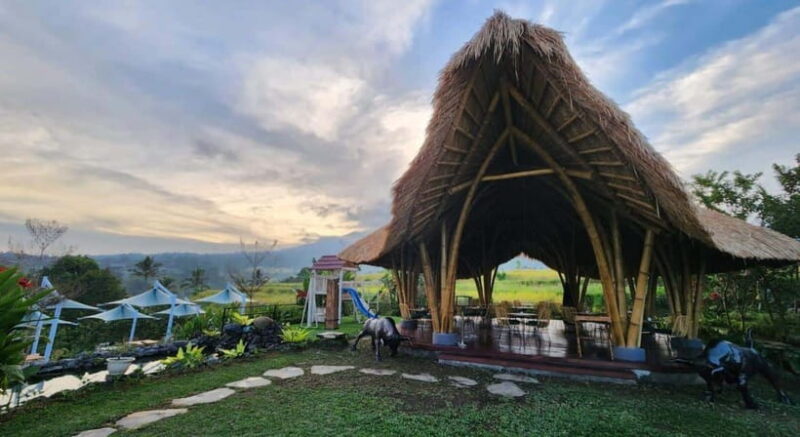 Jatiluwih: Trekking, Cycling and Cooking class in Jatiluwih - Activities: From Walking to Biking and Beyond