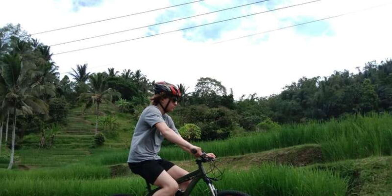 Jatiluwih (UNESCO Site) 2-Hour E-Bike Cycling Tour - Key Points