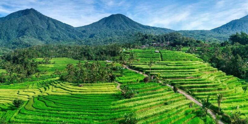 Jatiluwih (UNESCO Site) 2-Hour E-Bike Cycling Tour - The Sum Up: Is This Tour Worth It?