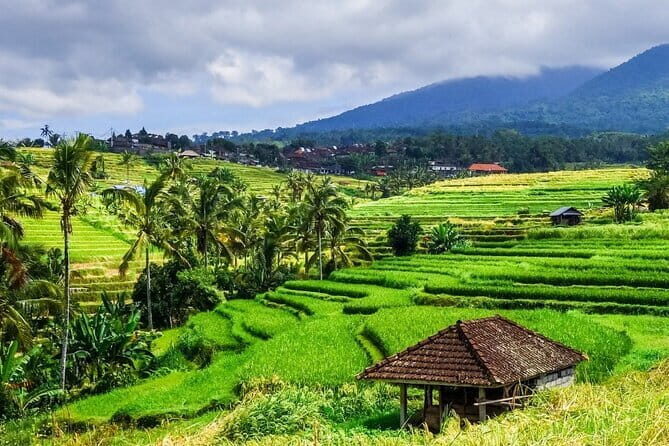 Jatiluwih's Rice Field Terraces: A Scenic Self-Guided Audio Tour - Introduction