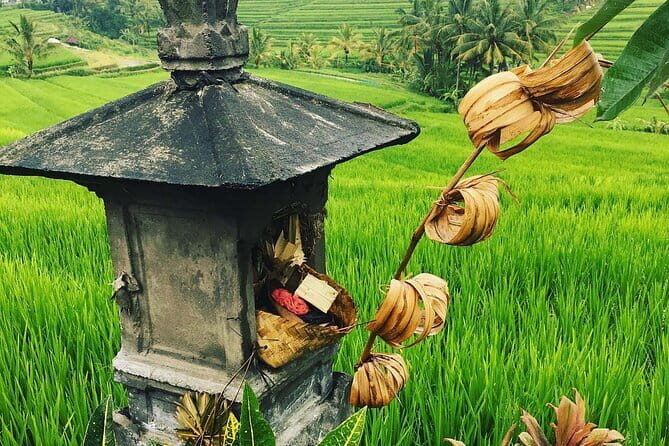Jatiluwih's Rice Field Terraces: A Scenic Self-Guided Audio Tour - Final Thoughts
