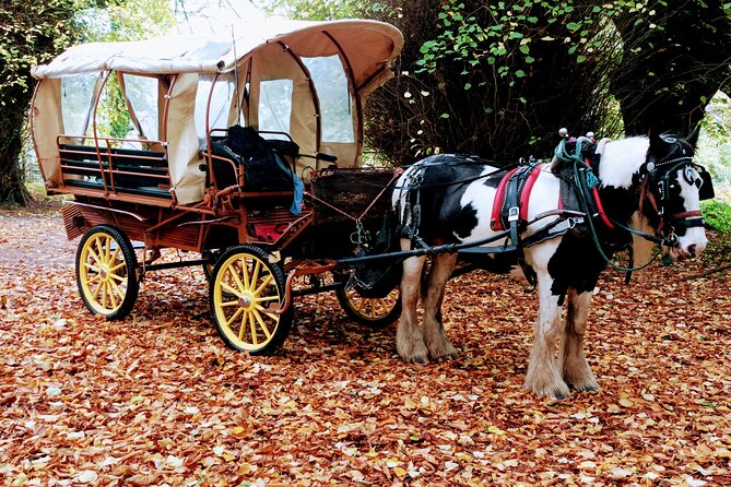 Jaunting Car Tour in Killarney National Park - The Muckross Park Estate