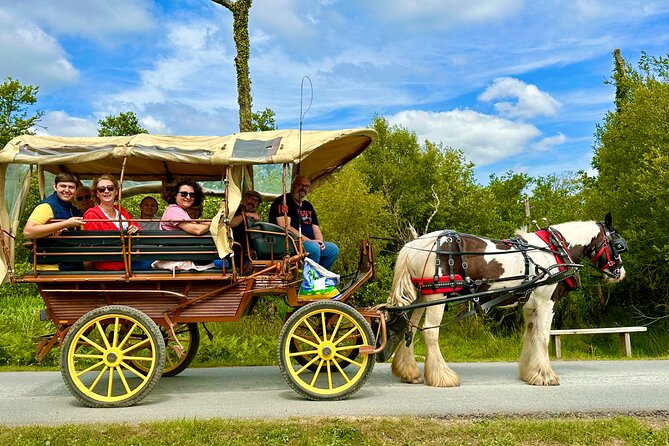 Jaunting Car Tour in Killarney National Park - Private Tour Experience