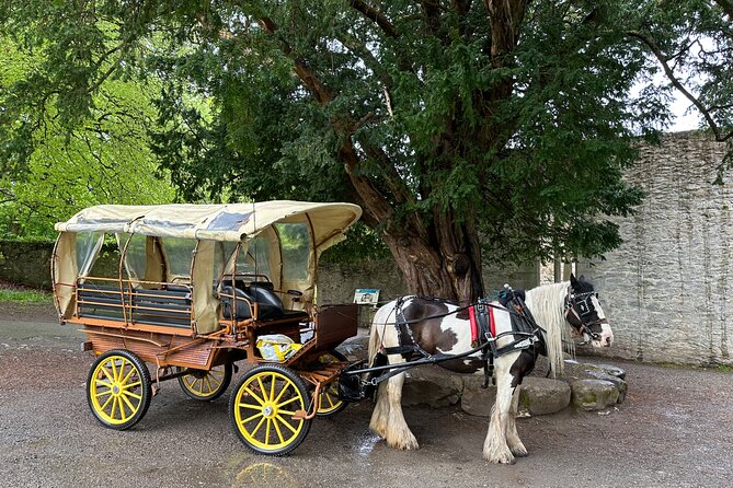 Jaunting Car Tour in Killarney National Park - Meeting and Pickup Details