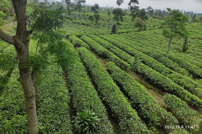Java Classic Overland Tour - Who Will Love This Tour?