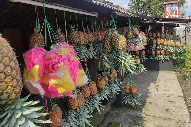Java Classic Overland Tour - The Sum Up