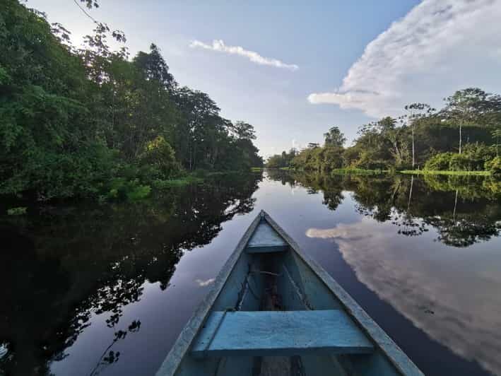 Javari Expedition - A Deep Dive into the Javari Expedition