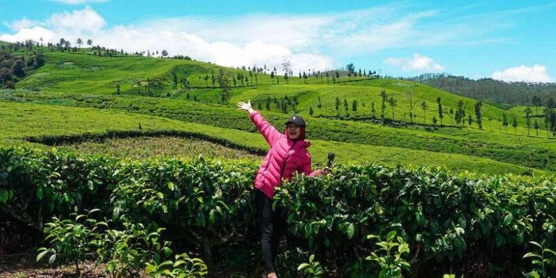 Java's Highlight Guided Tour From Jakarta or Bali - The Sum Up