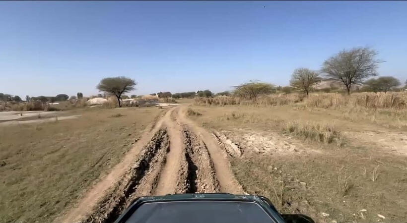 Jawai Leopard Safari 4x4 Gypsy Adventure with Guide - Who Should Consider This Tour?