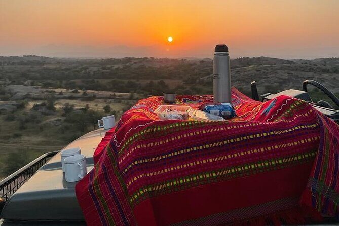 Jawai Leopard Wildlife Safari - Final Thoughts: Is It Worth It?