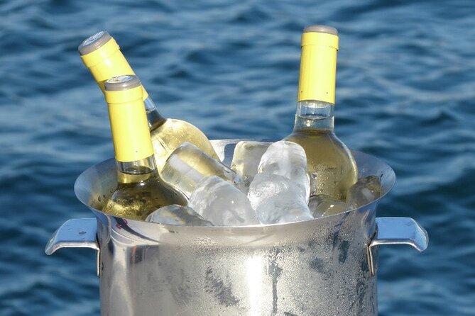 Jazz and Chill Out Cruise in Barcelona - Who Should Consider This Cruise?